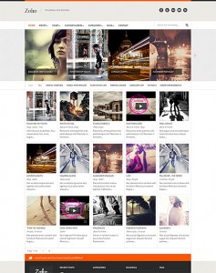 20 Premium Magazine Themes | Theme Spiration — premium wordpress themes.