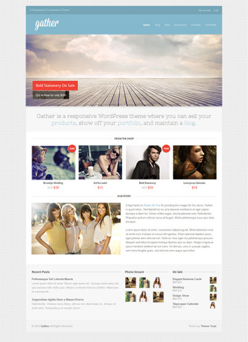 eCommerce WordPress Themes | Theme Spiration — premium wordpress themes.